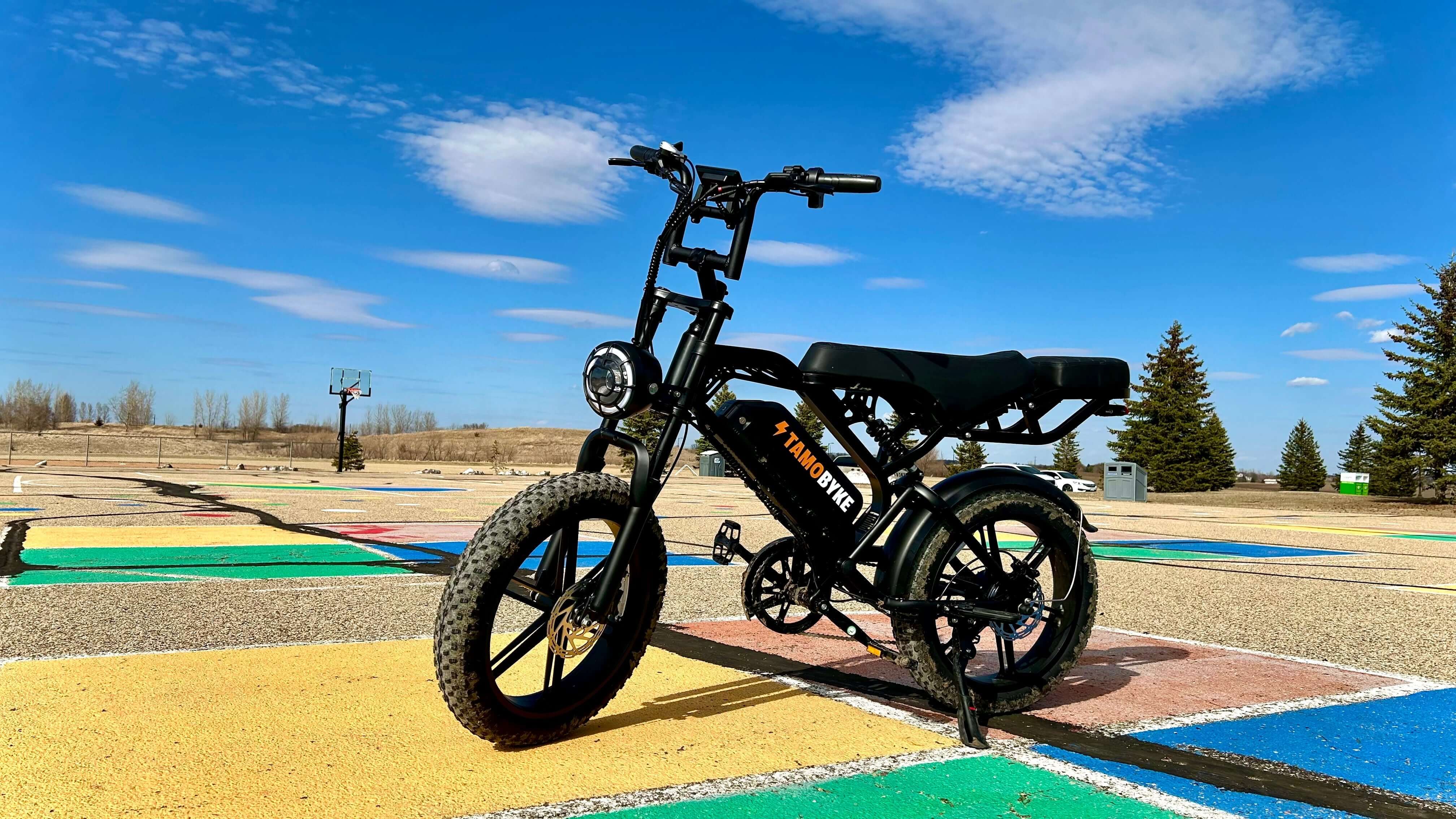 E-Bike License Requirements: State Laws Guide for 2025 | Tamobyke ...