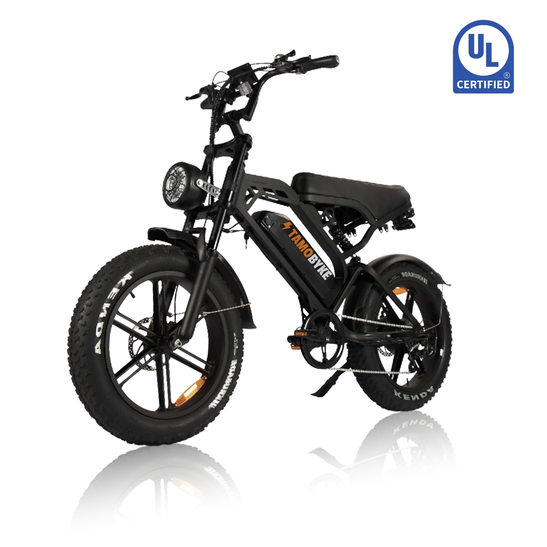 Explore the Excitement of Tamobyke's Fat Tire Electric Bikes ...