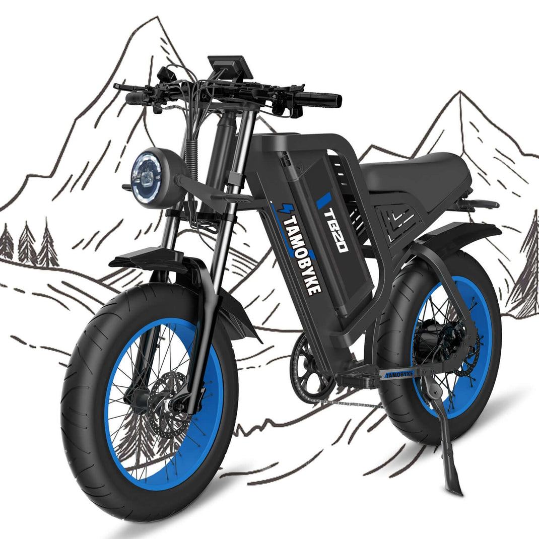 Explore the Excitement of Tamobyke's Fat Tire Electric Bikes ...