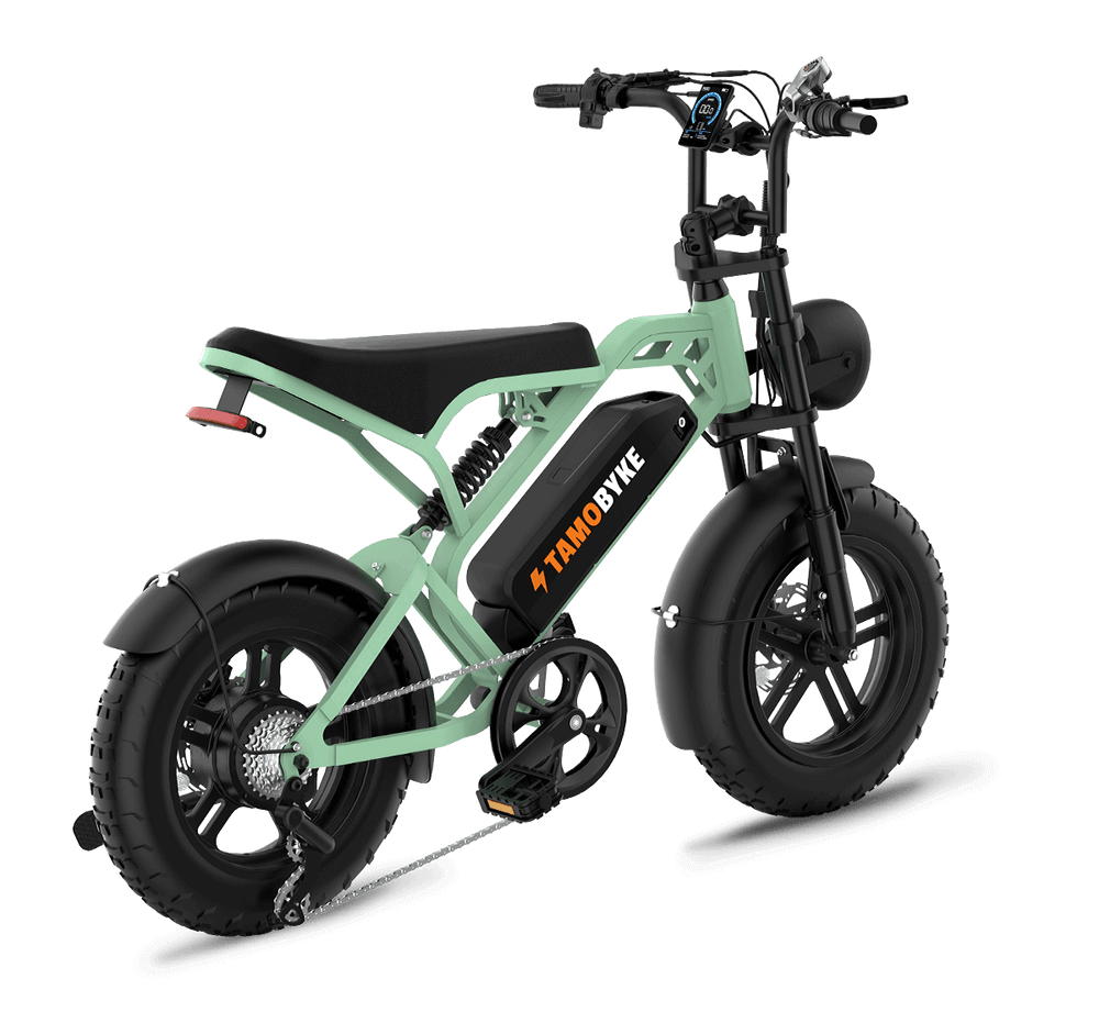 Compact T16 E-Bike for Smaller Riders | 1000W Motor | Tamobyke ...