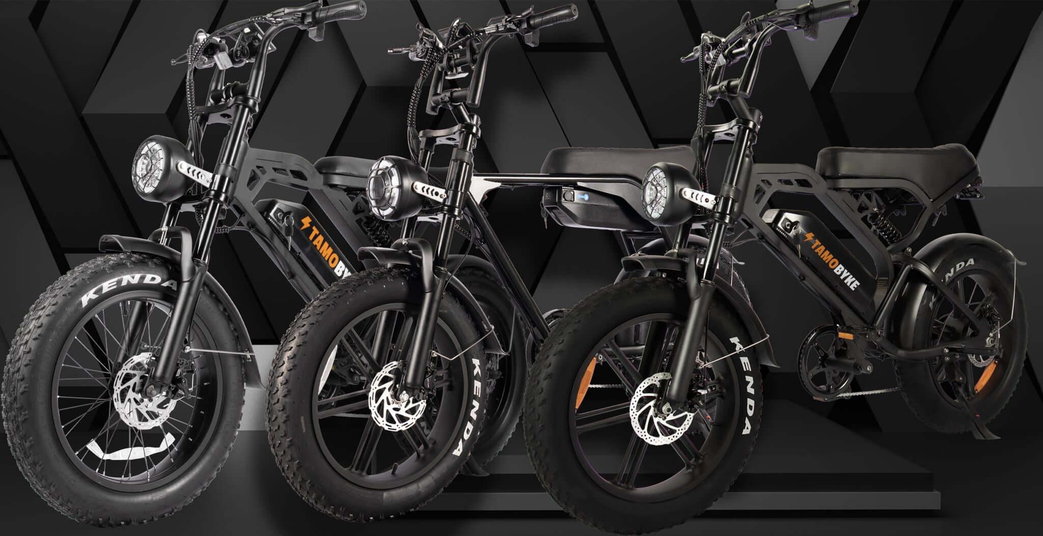 Explore the Excitement of Tamobyke's Fat Tire Electric Bikes ...