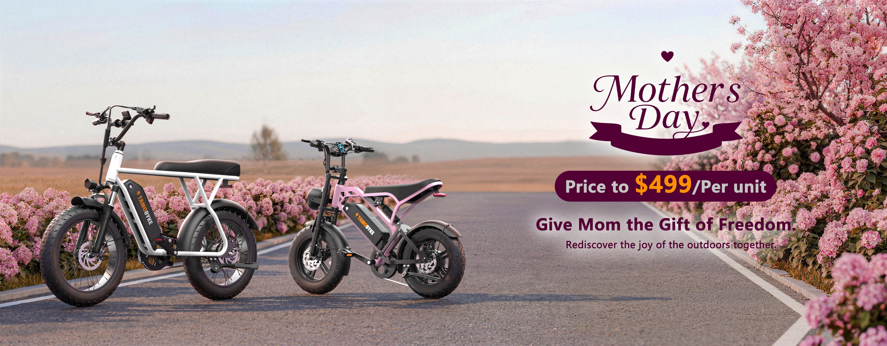 Tamobyke | Premium Electric Bikes for Adults – Tamobykesport